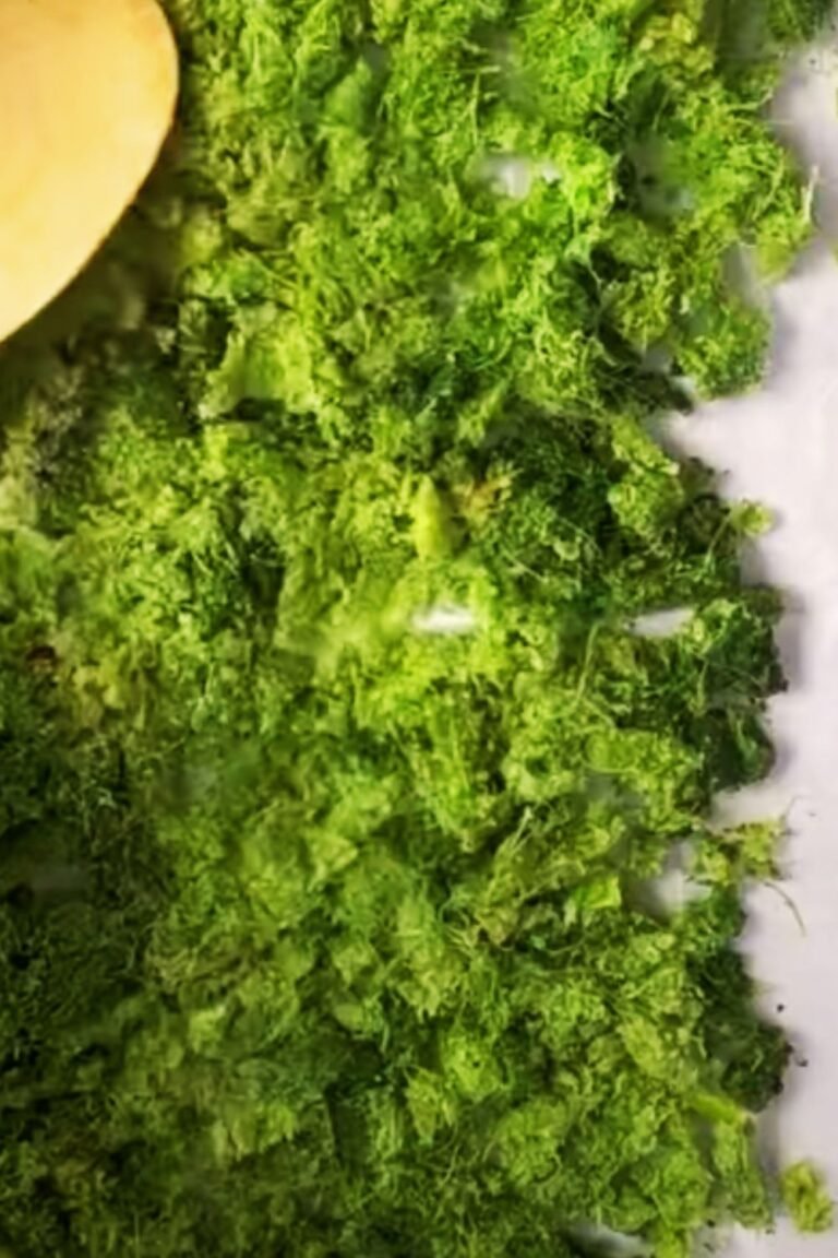 Don’t Toss That Pulp! Creative Ways to Use Juice Pulp + 15 Delicious ...
